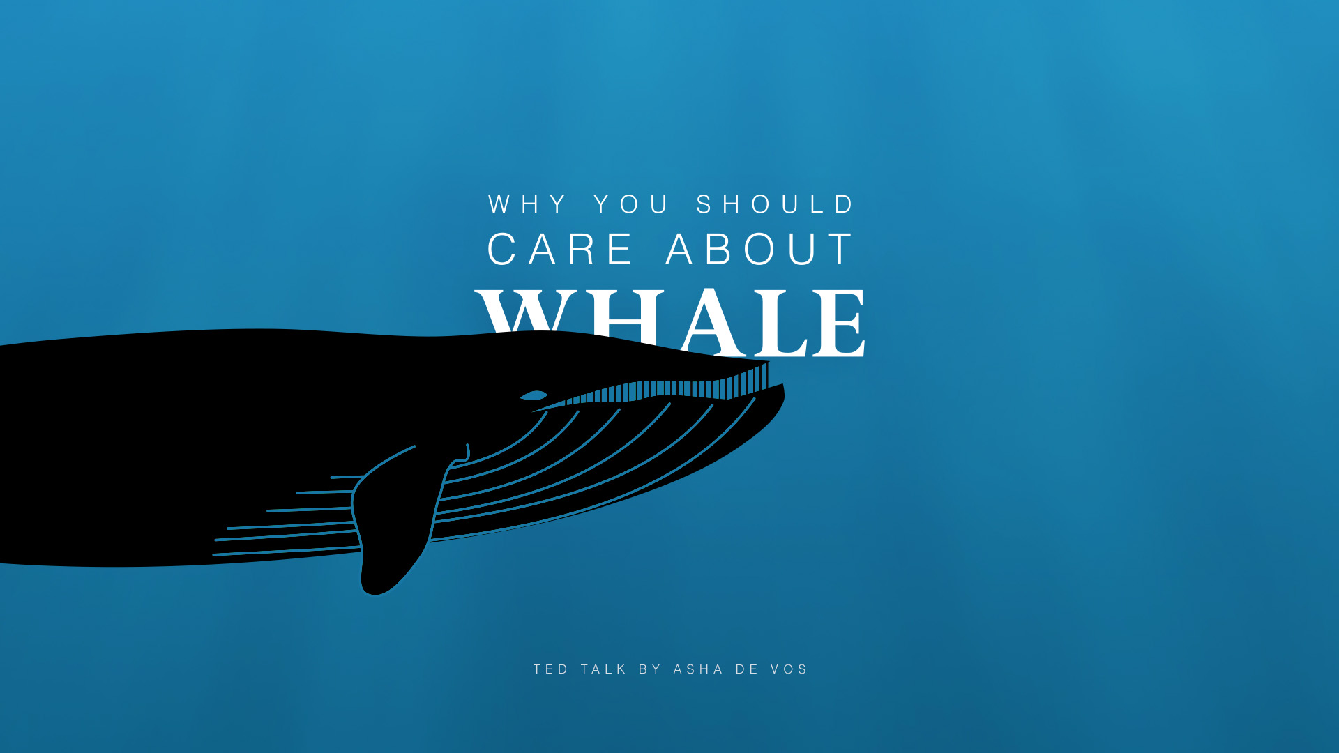 TED Talk Infographic – Klopas Oey