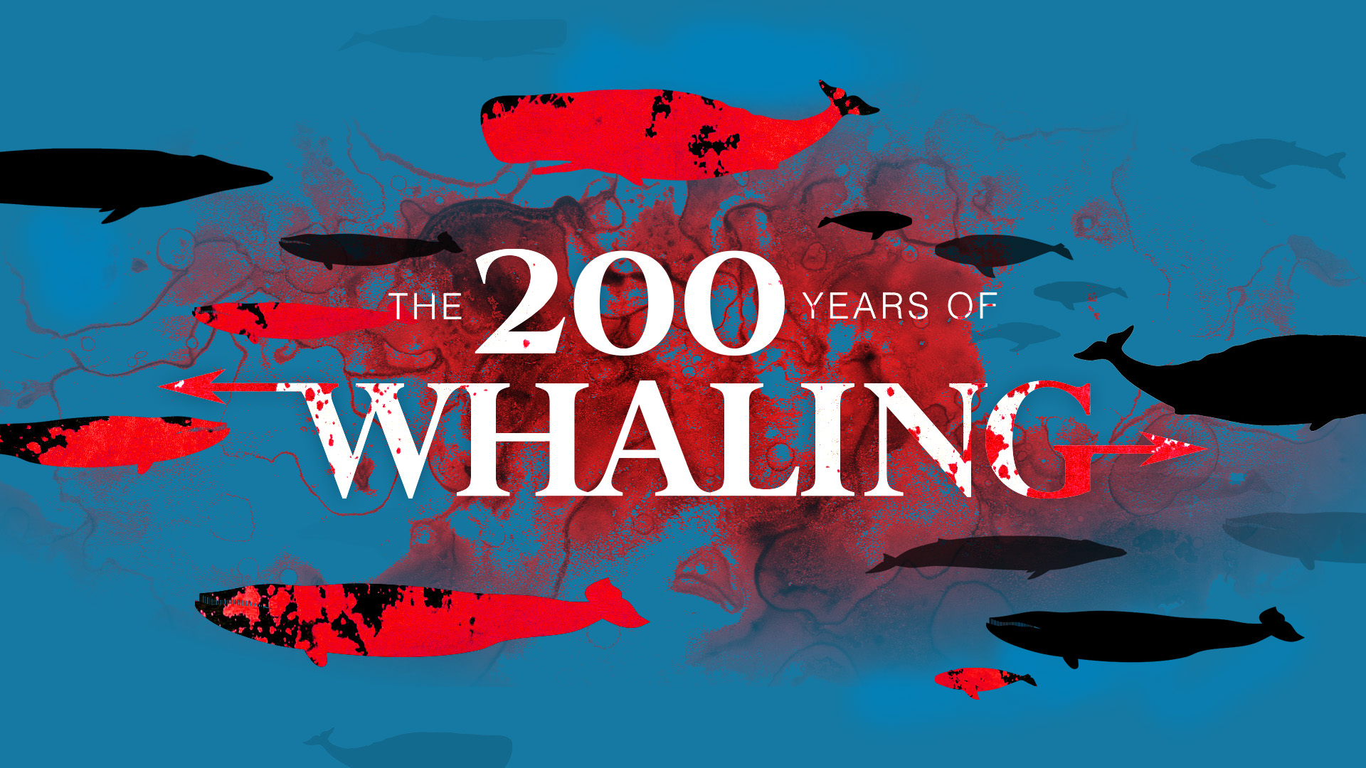 TED Talk Infographic – Klopas Oey