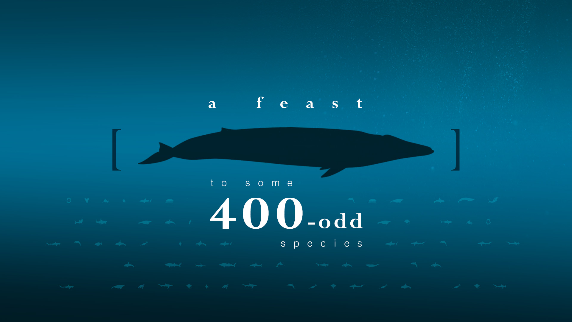 TED Talk Infographic – Klopas Oey