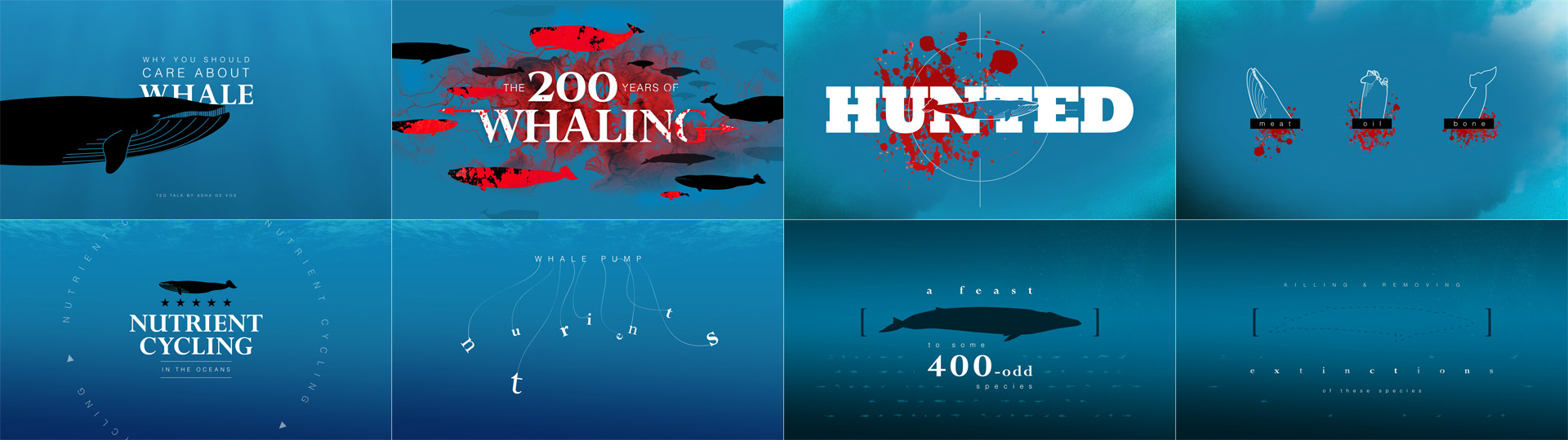 TED Talk Infographic – Klopas Oey